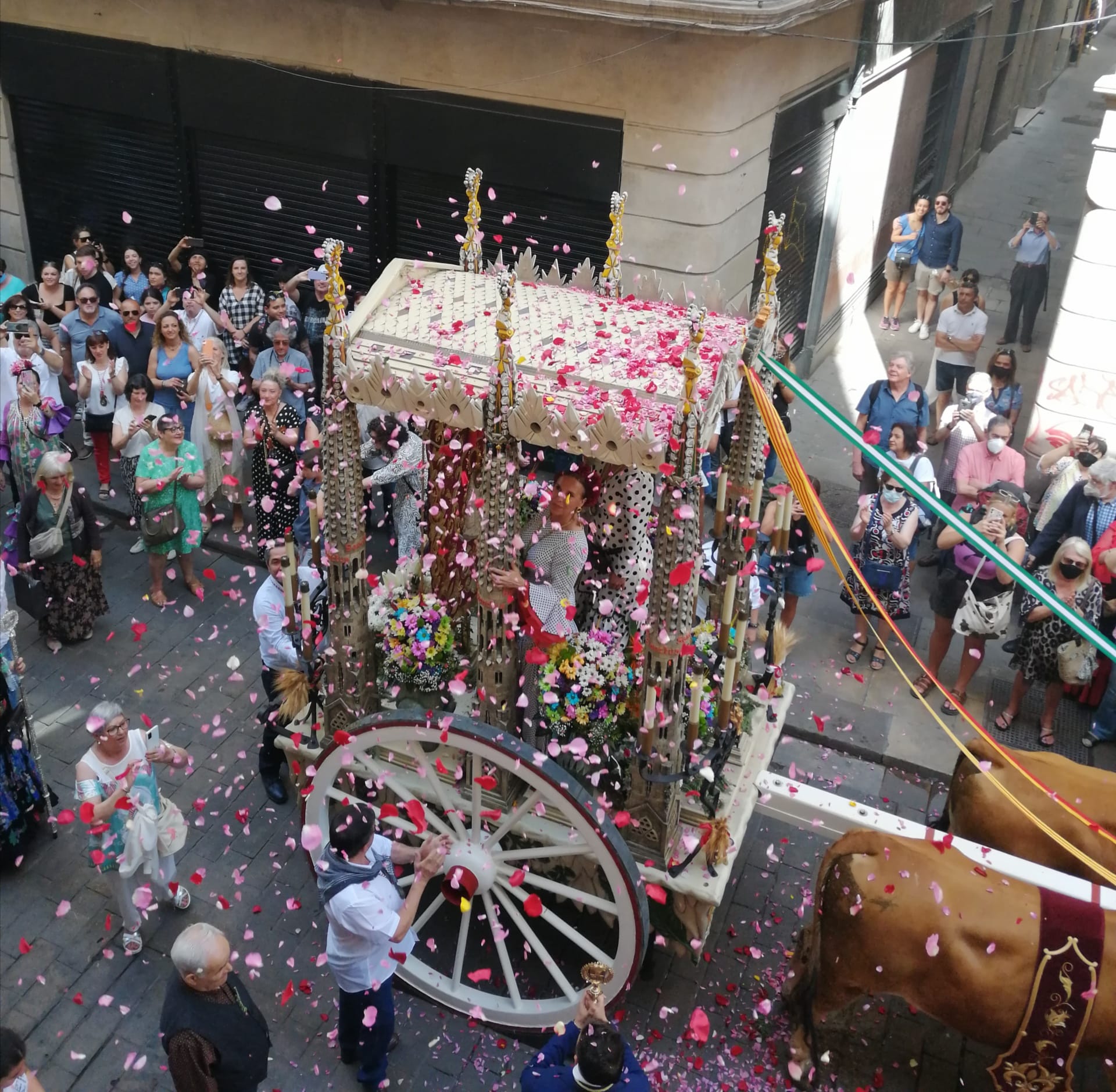 La Romeria del Rocío, més a prop - Catalunya Cristiana