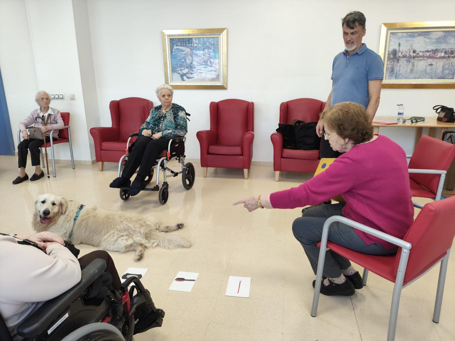Teràpia amb animals: salut i benestar per a la gent gran - Catalunya ...